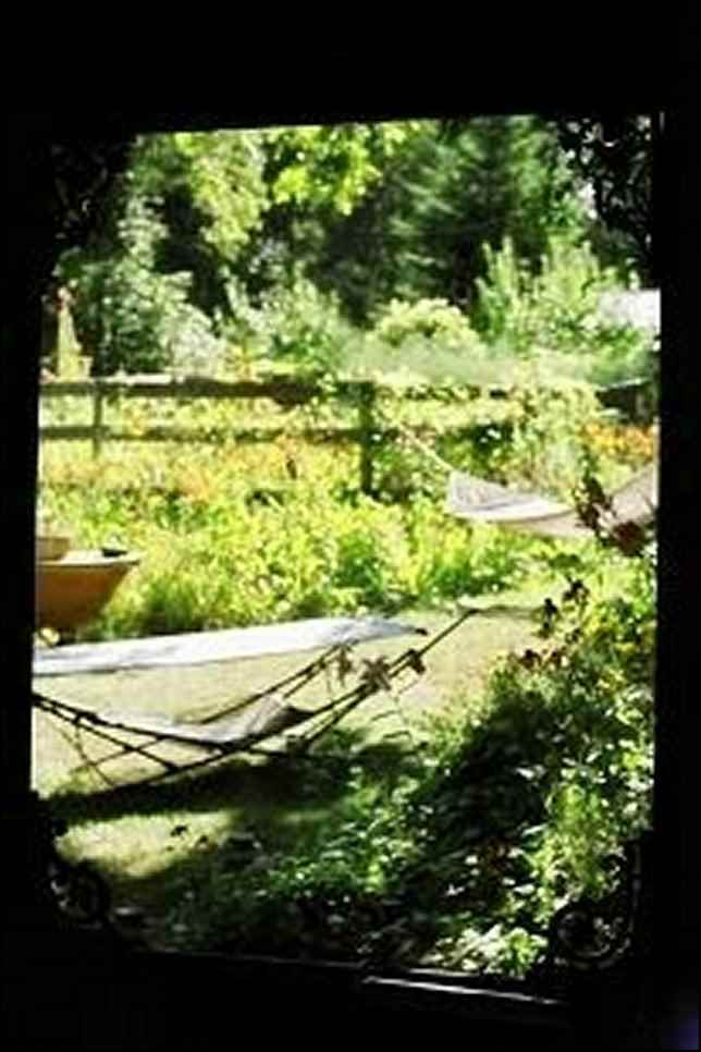 Lilac Moon: Homesteading in Northern Minnesota - Homestead.org